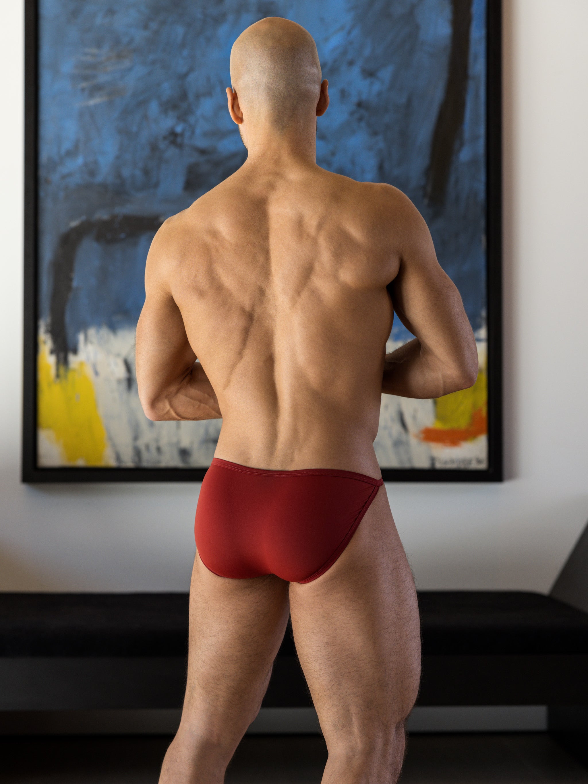 Defiant Endurance Brief – Todd Sanfield Collection