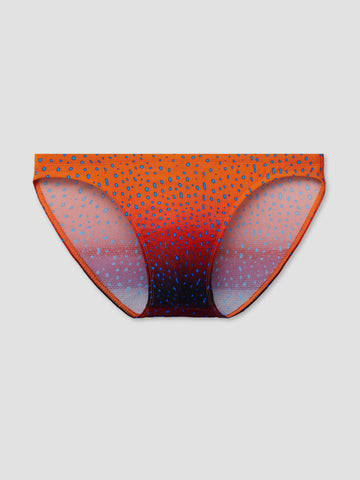 Todd Sanfield Collection